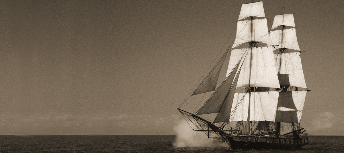 Moka Java, our take on the Worlds Oldest Blend – Blue Star Coffee Roasters